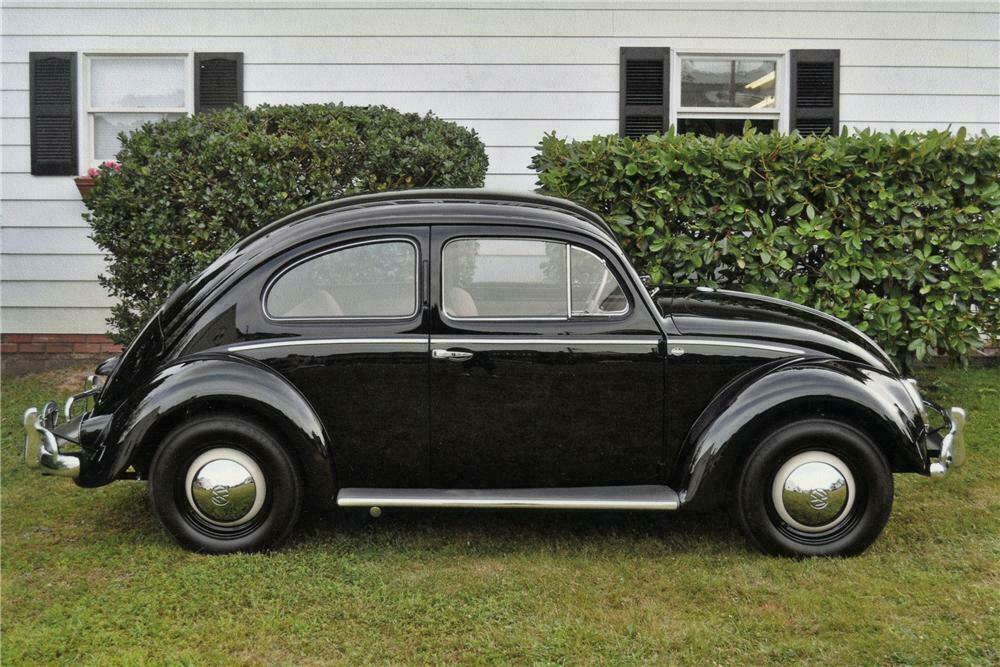 1955 VOLKSWAGEN BEETLE SEDAN - Side Profile - 113073