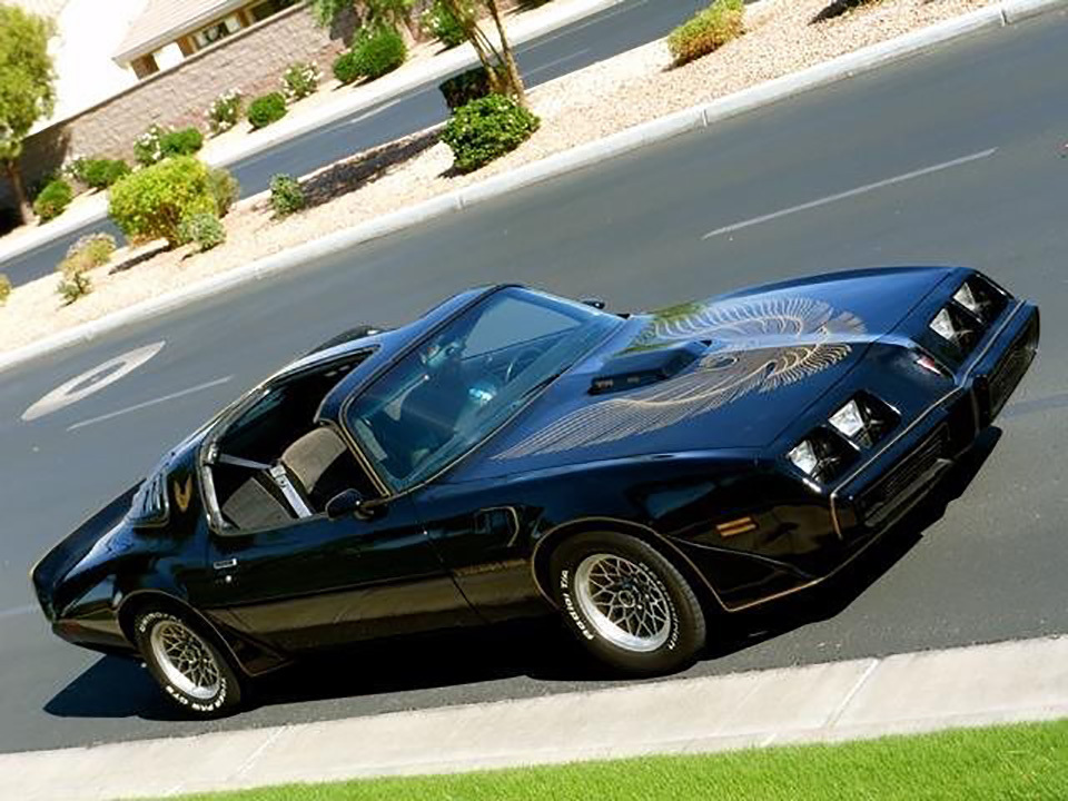 1981 PONTIAC TRANS AM - Side Profile - 181383