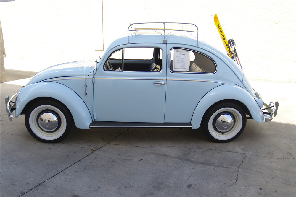1955 VOLKSWAGEN BEETLE - Side Profile - 195808