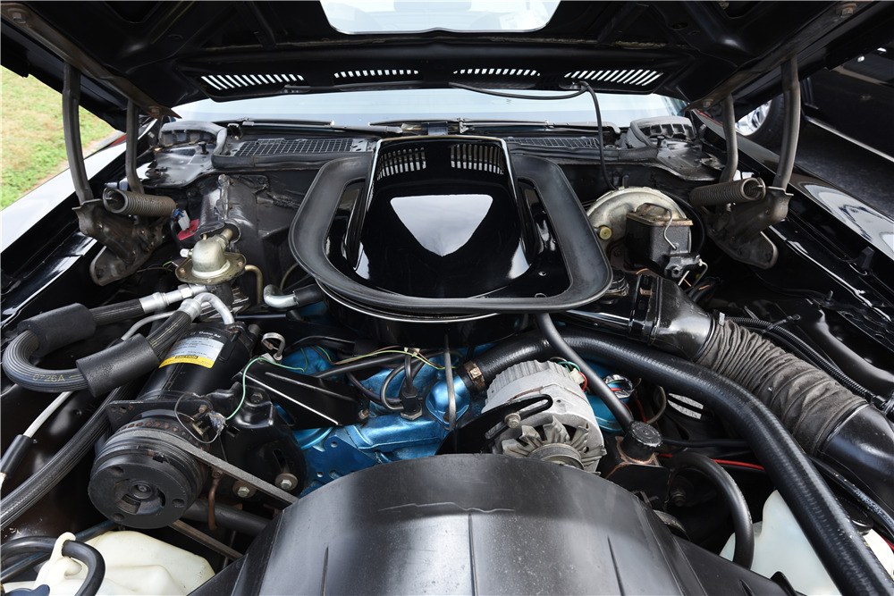 1976 PONTIAC FIREBIRD TRANS AM - Engine - 199656