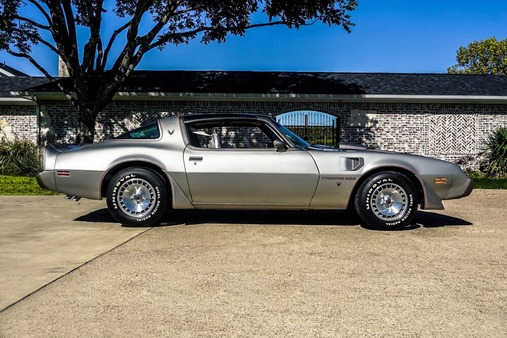 1979 PONTIAC TRANS AM WS6 - Side Profile - 226046