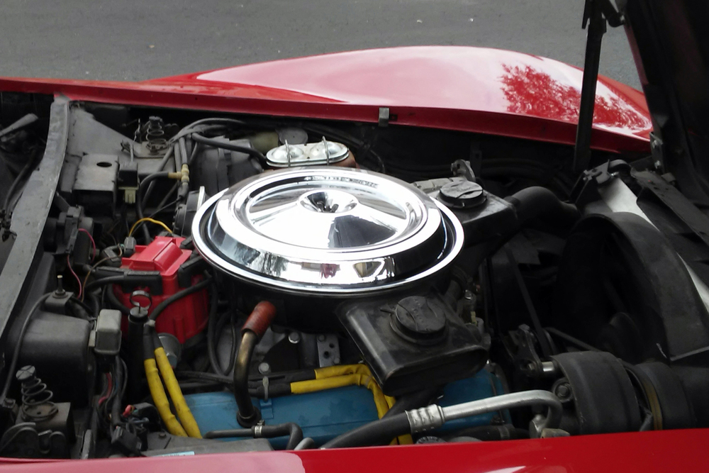 1981 CHEVROLET CORVETTE - Engine - 230597