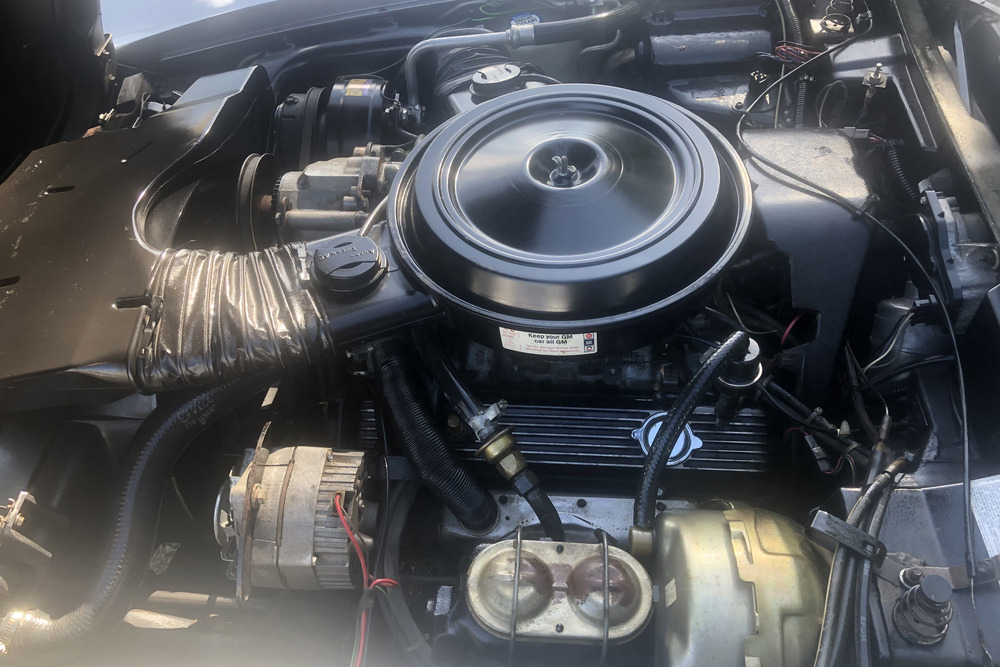1978 CHEVROLET CORVETTE 25TH ANNIVERSARY EDITION - Engine - 232864