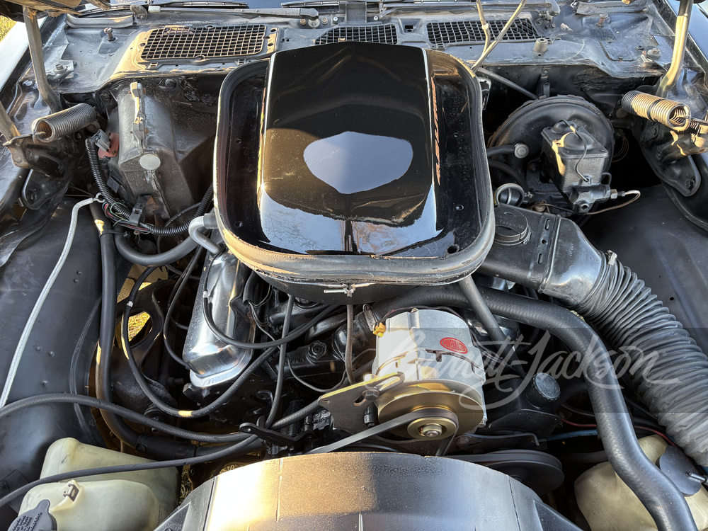 1980 firebird engine options